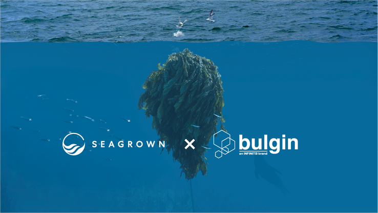 SeaGrown Welcomes Bulgin as First Partner in "Plant a Tree in the Sea"