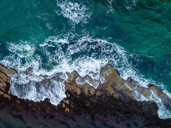 SeaGrown - For Ocean Health