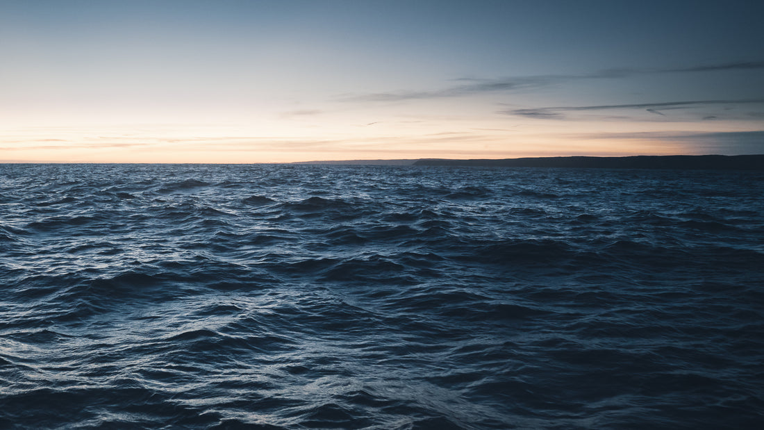 Products – SeaGrown