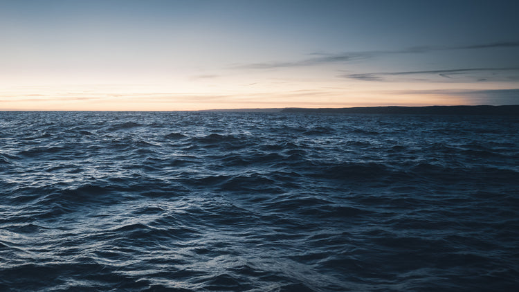 Products – SeaGrown