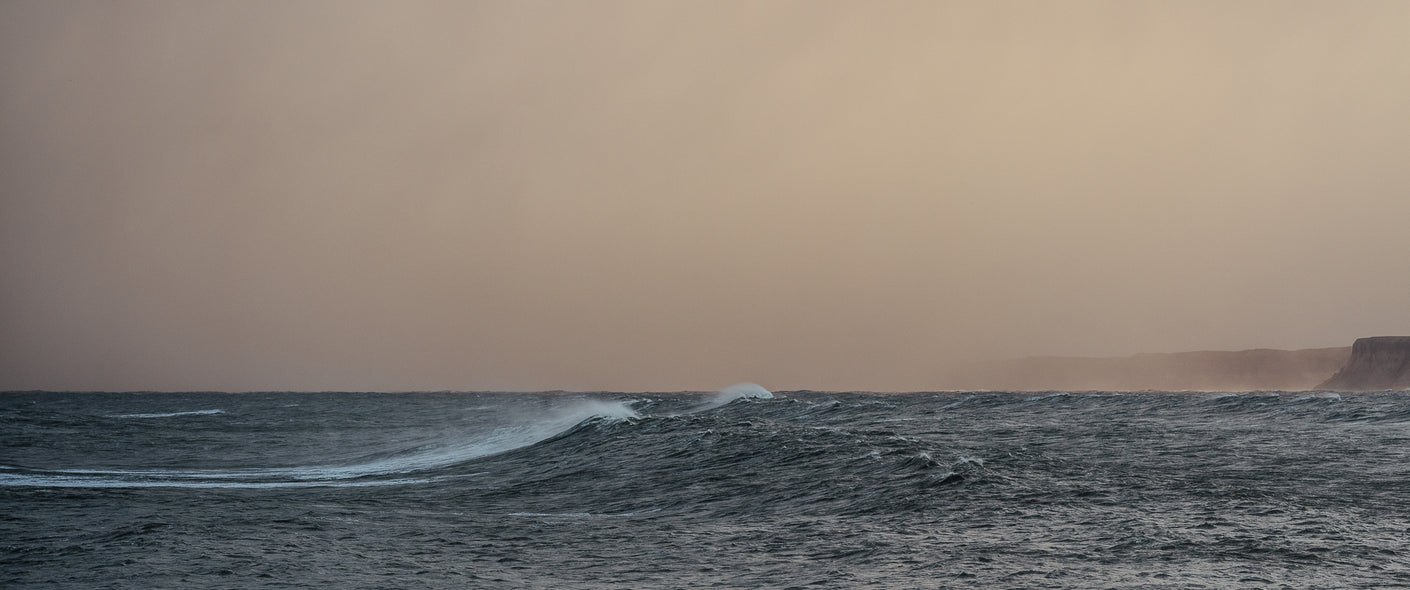 Seaweed Gift Ideas – SeaGrown