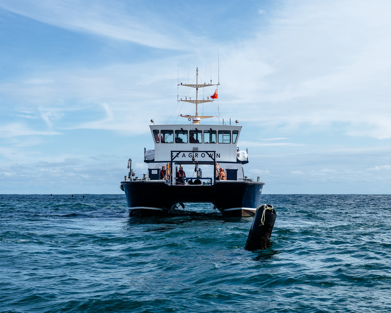 SeaGrown - For Ocean Health