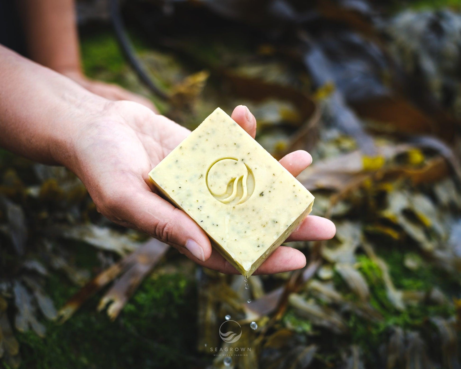 SeaGrown Seaweed Soap