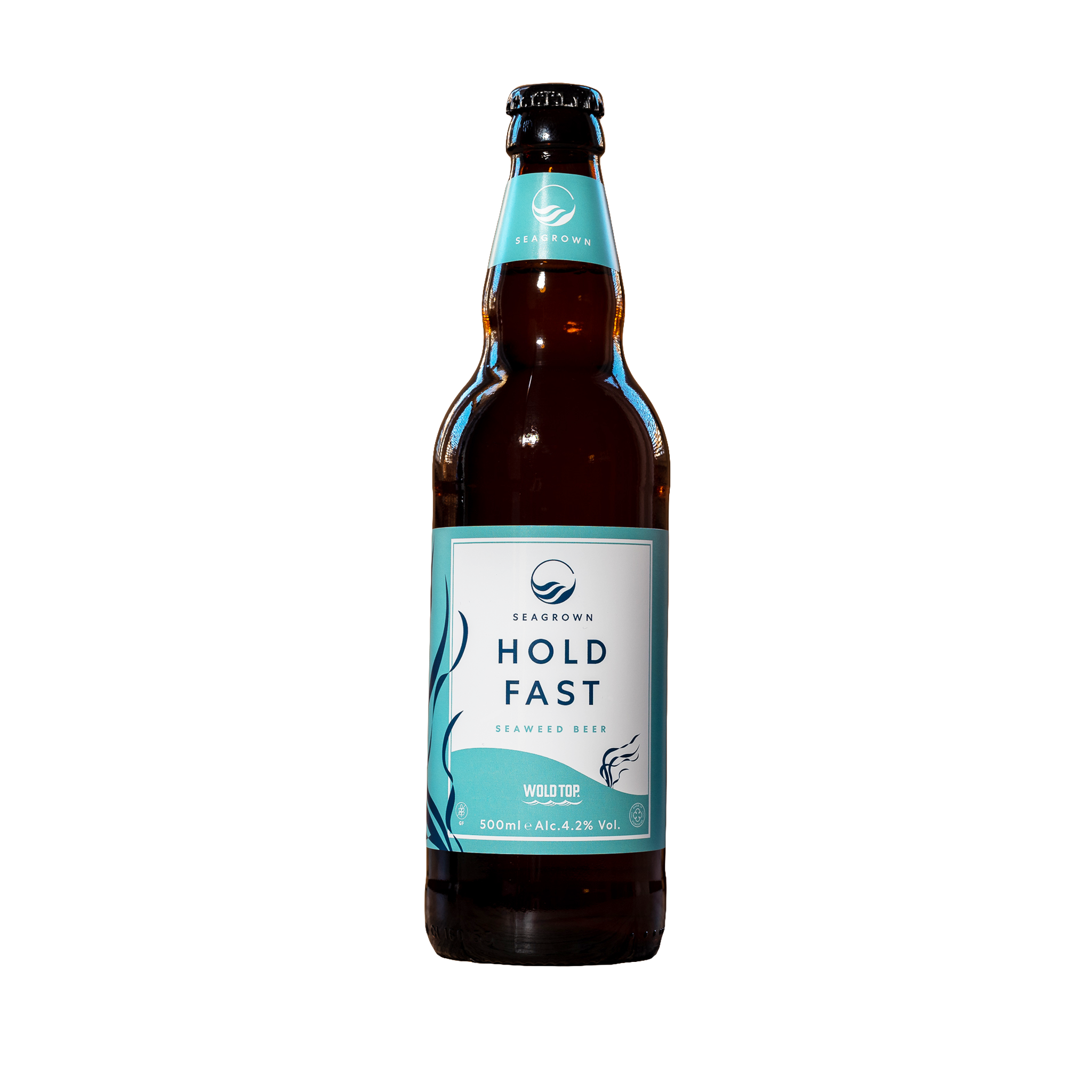 SeaGrown Seaweed Beer